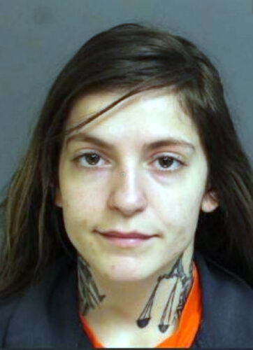 Guilty pleas entered in South Renovo home invasion | News, Sports, Jobs ...